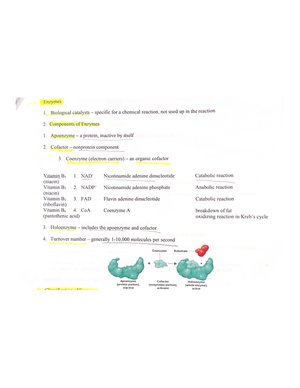PhysioEx 9.1 Excersize 4: Activity 1 - Name: Alison Lyons Exercise 4 ...