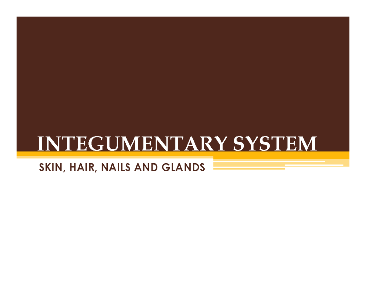 Introduction to Integumentary System - INTEGUMENTARY SYSTEM SKIN, HAIR ...