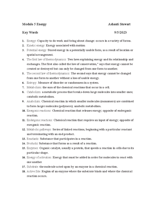 Photosynthesis Key Words - Photosynthesis Key Words Module 7 Ashanti ...