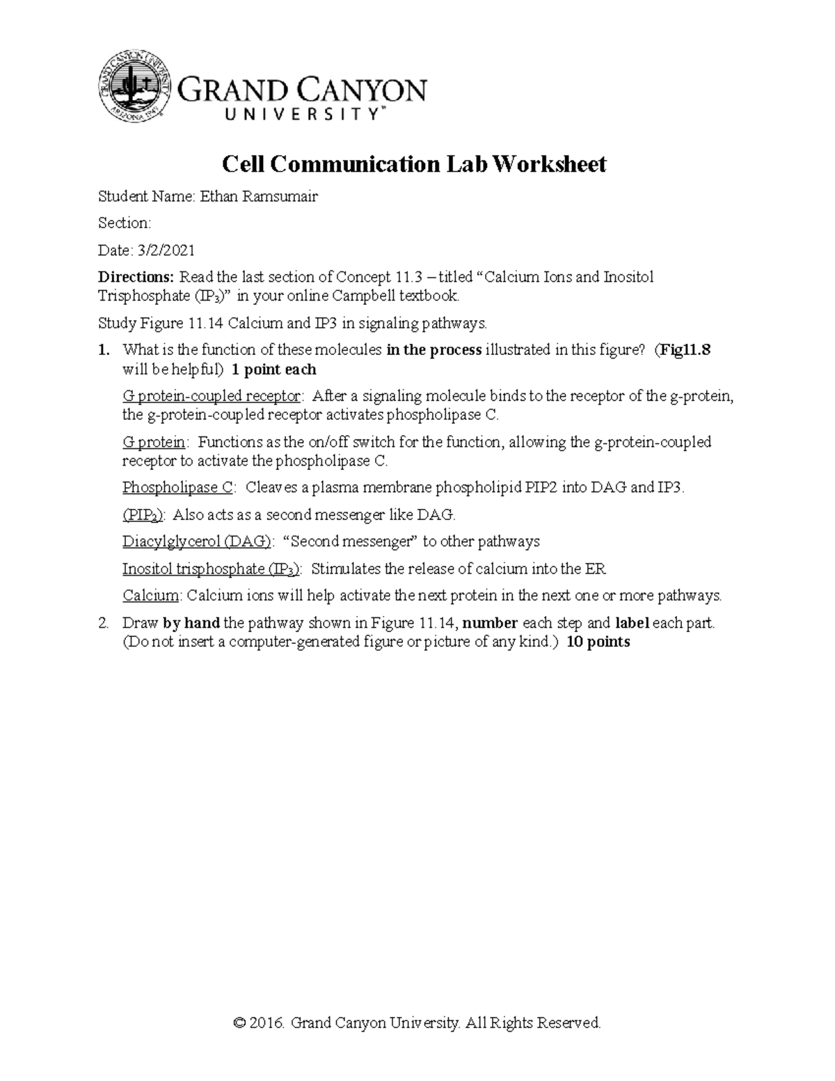 BIO-181L S20 Cell Communication Wksht - Cell Communication Lab ...