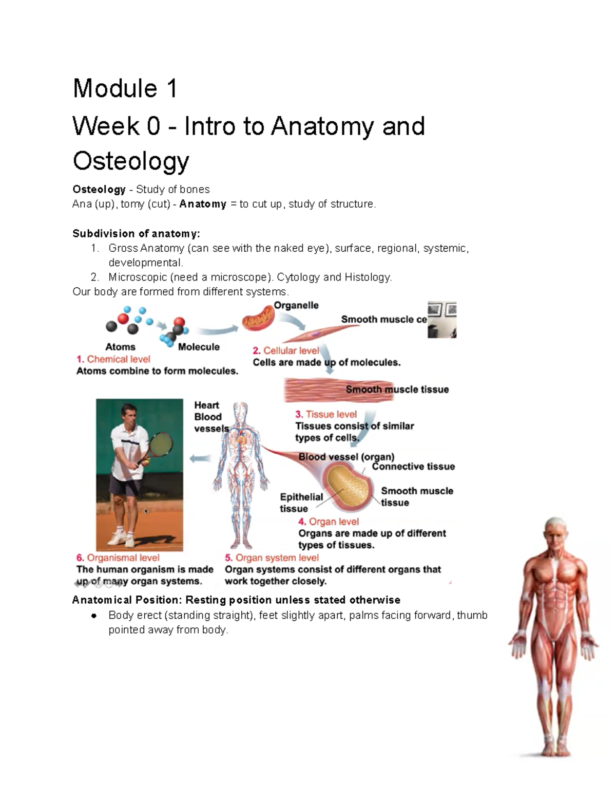 FMA Notes Mod 1 - Module 1 Week 0 - Intro to Anatomy and Osteology ...
