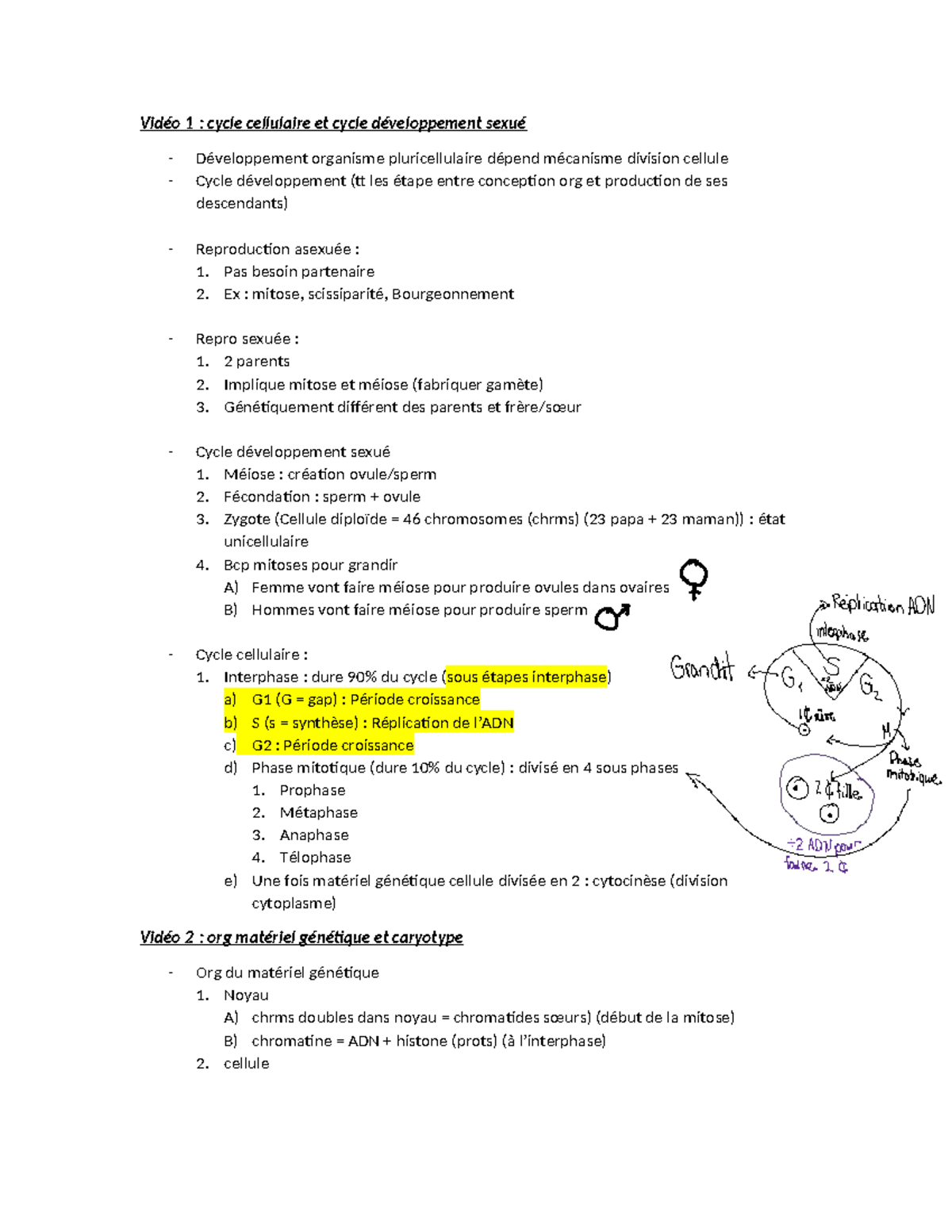 Semaine 4 - dmdmd - Vidéo 1 : cycle cellulaire et cycle développement ...
