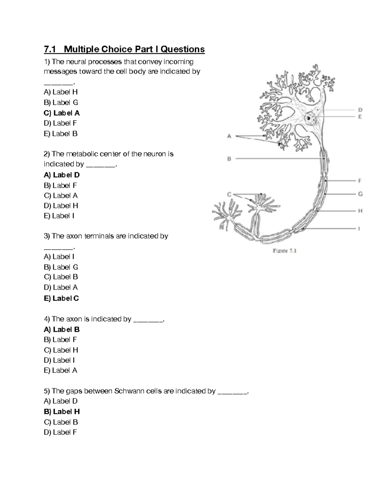 TB - Nervous System - Test bank - 7 Multiple Choice Part I Questions ...