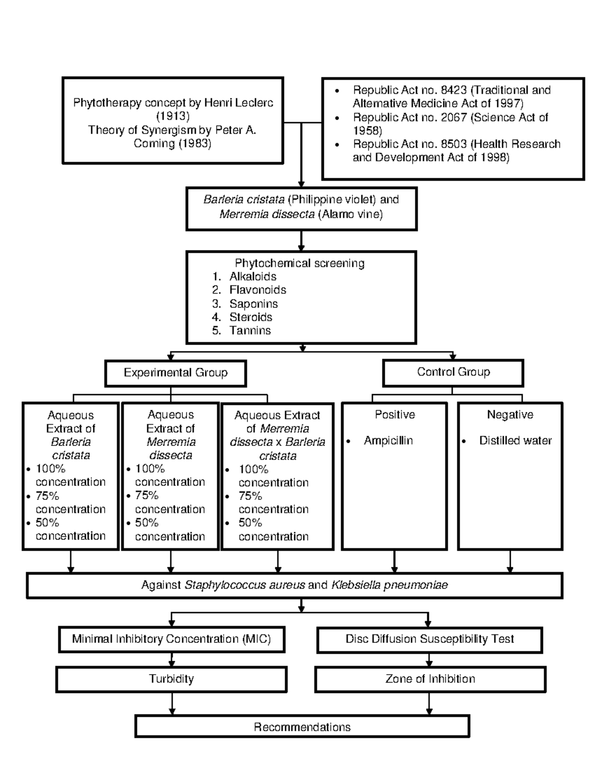Group 4 Conceptual Framework Diagram - Republic Act no. 8423 ...