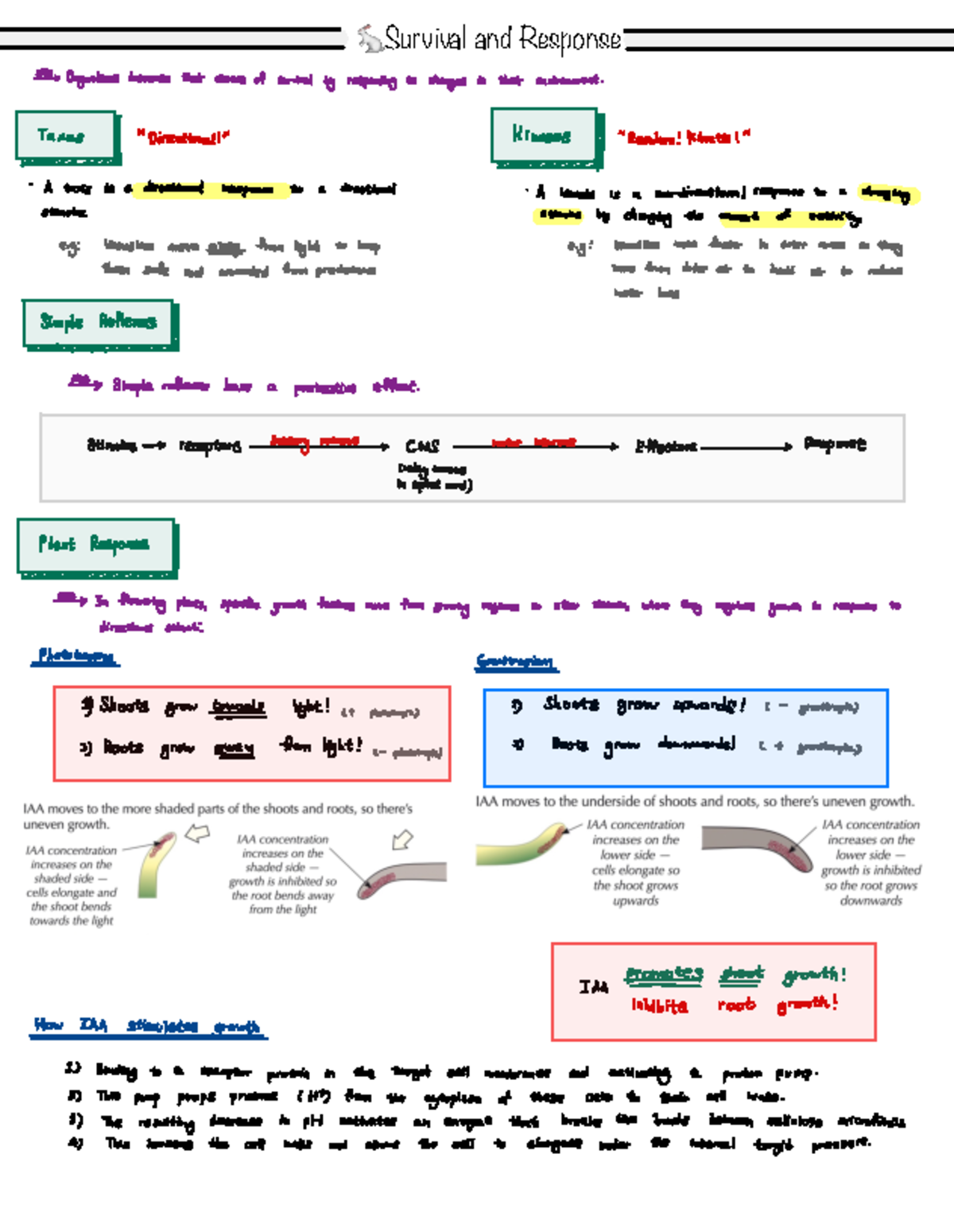 Survival and Response - Fact Recall - 🐇 Survival and Response É ...