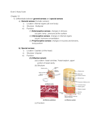 Macromolecules Homework - Test Your Knowledge: Macromolecules of Life ...