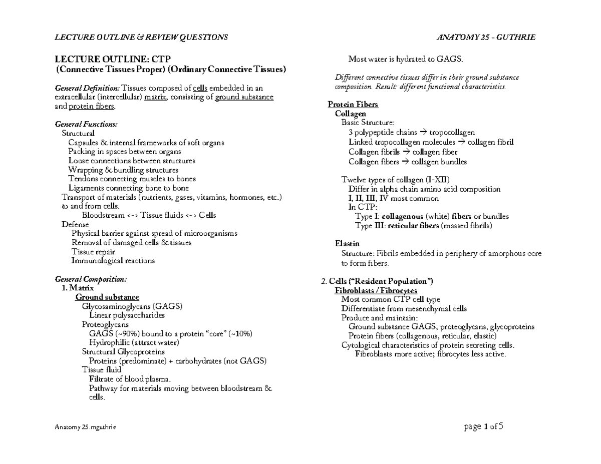 Lecture Outline - CTP (Connective Tissues Proper) (Ordinary Connective ...