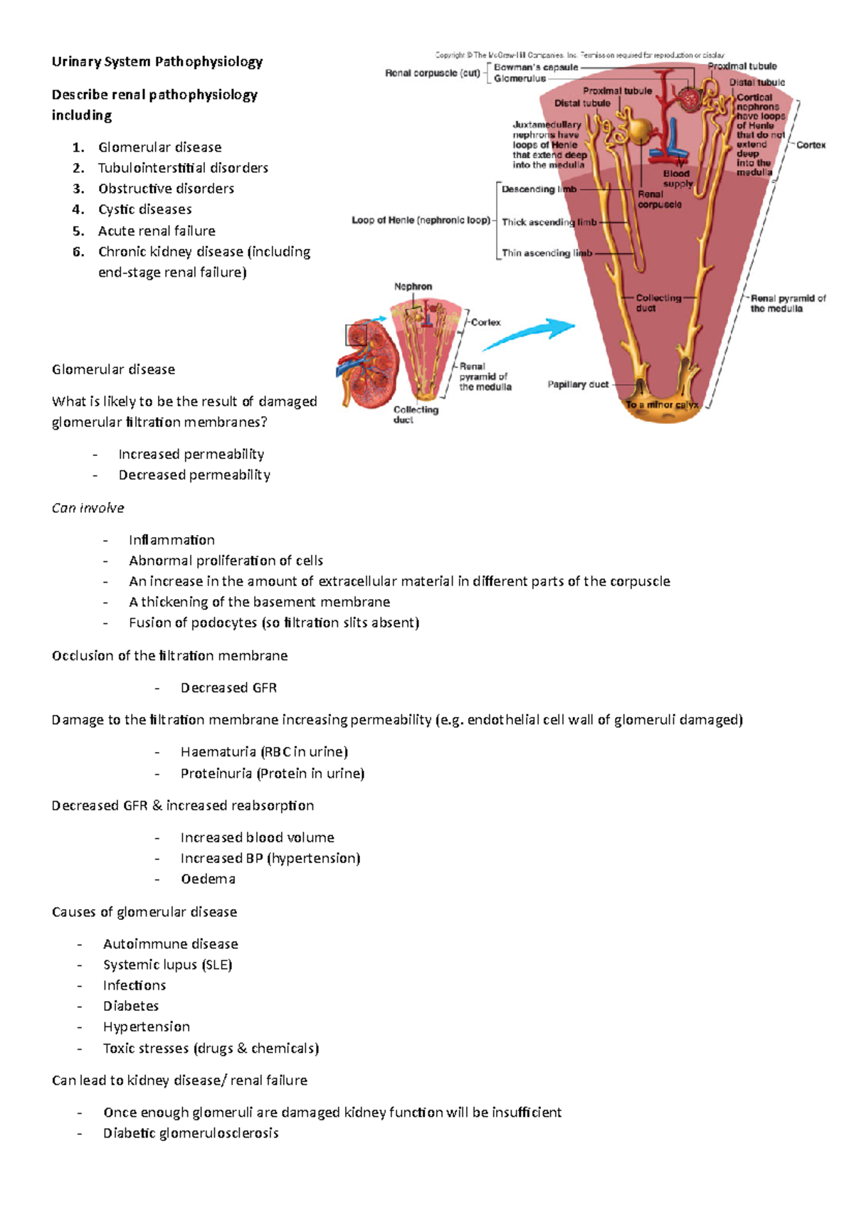 Urinary System Pathophysiology - Urinary System Pathophysiology ...
