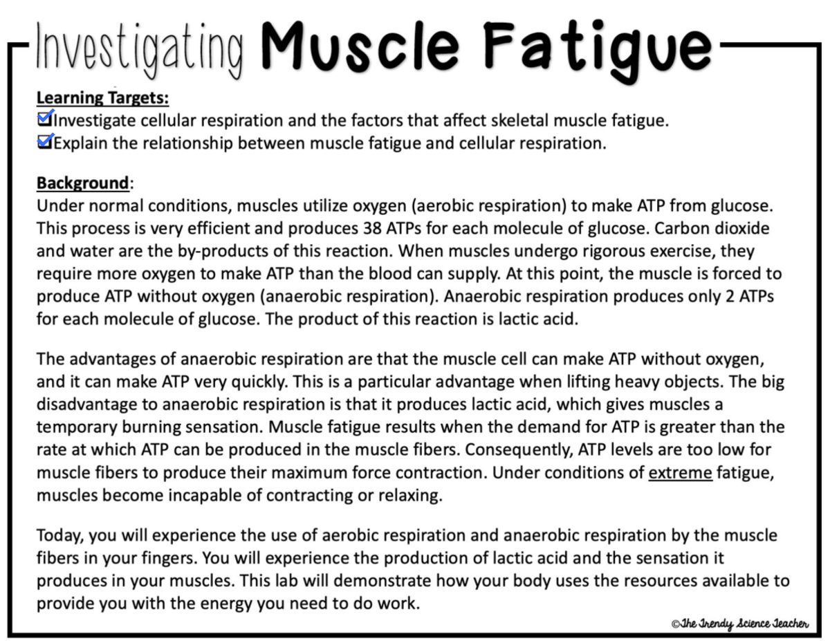 Muscle Fatigue Lab (1) - yes no 38 ATP 2 ATP Carbon dioxide and water ...