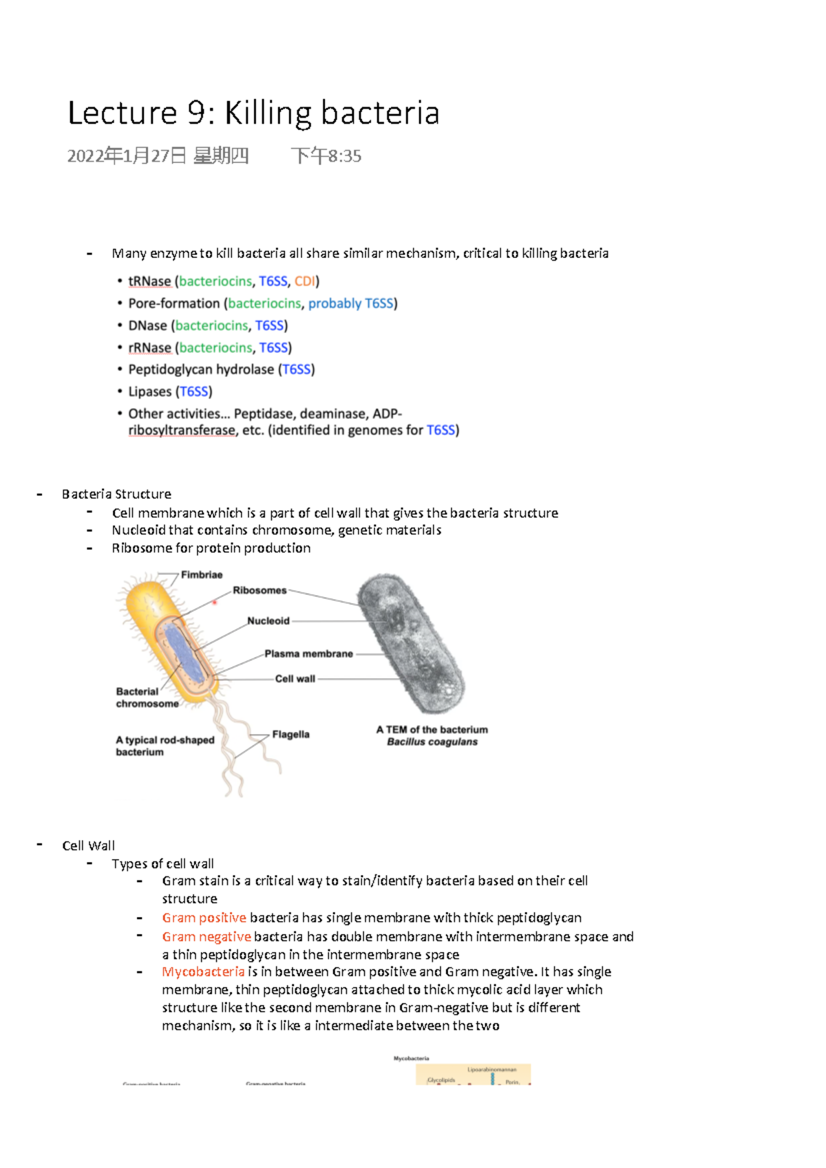 Lecture 9 Killing bacteria - Many enzyme to kill bacteria all share ...
