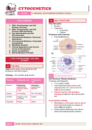 Respi and Gastro Anatomy B2 with label - LIVER Right Lobe Left lobe ...