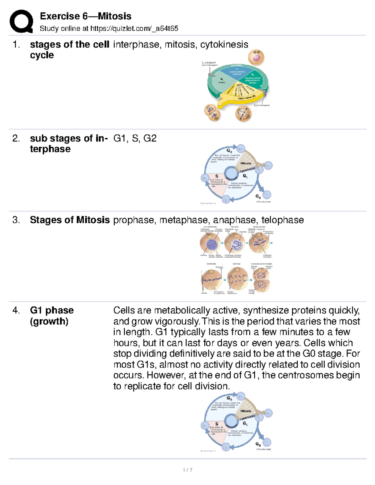 Exercise 6-Mitosis - Human Anatomy and Physiology I BIOL 1161 - Study ...