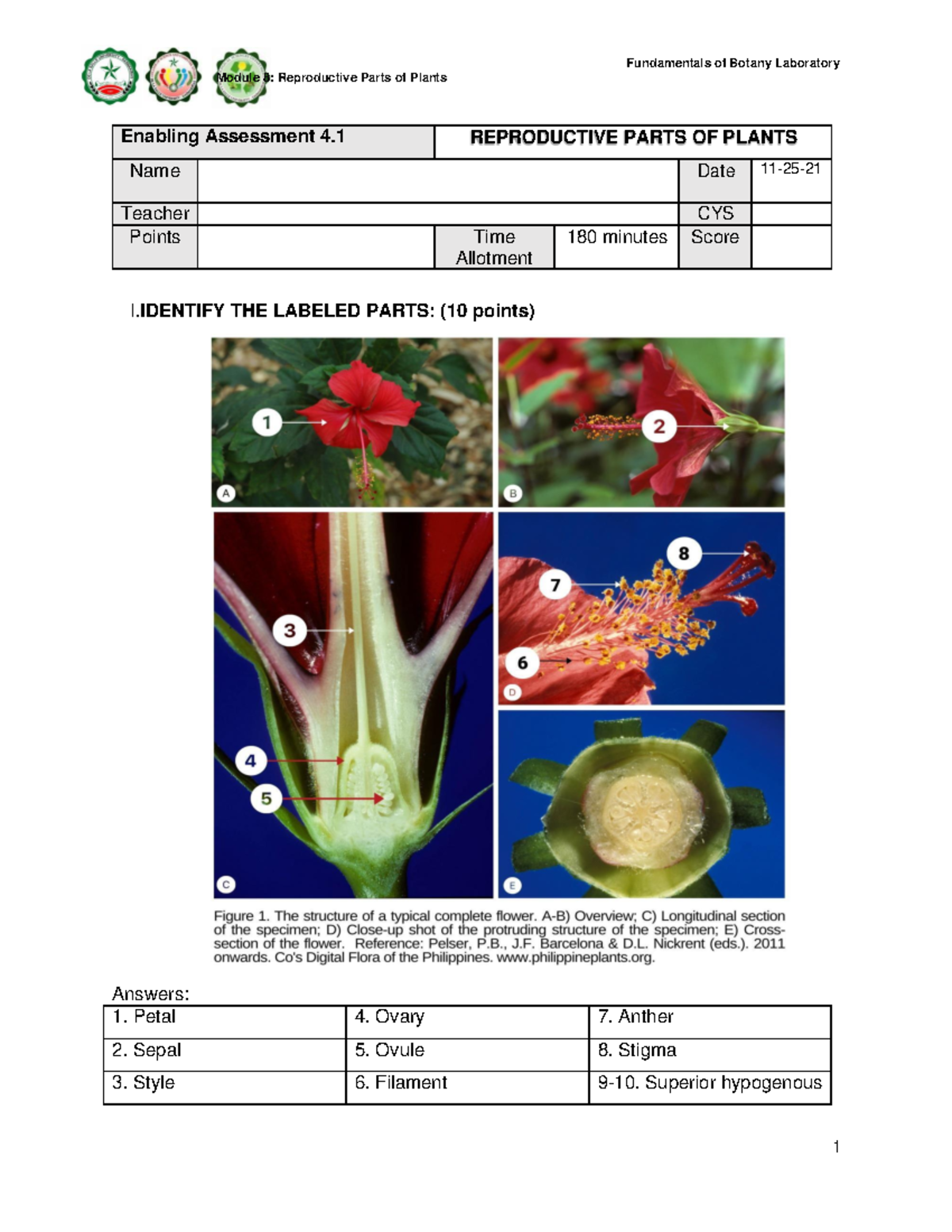 Reproductive Structures - Module 8: Reproductive Parts of Plants ...