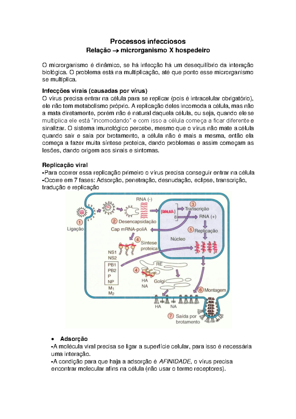 Processos infecciosos - Walter - Processos infecciosos Relação → ...