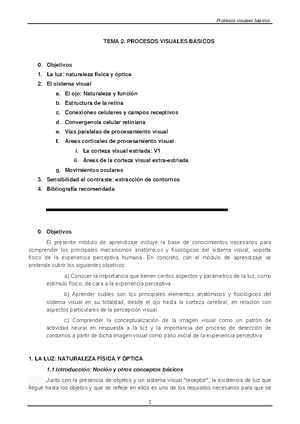 TEMA 2. Procesos visuales básicos Diapositivas CON Notas - El epígrafe 1 especifica los aspectos ...