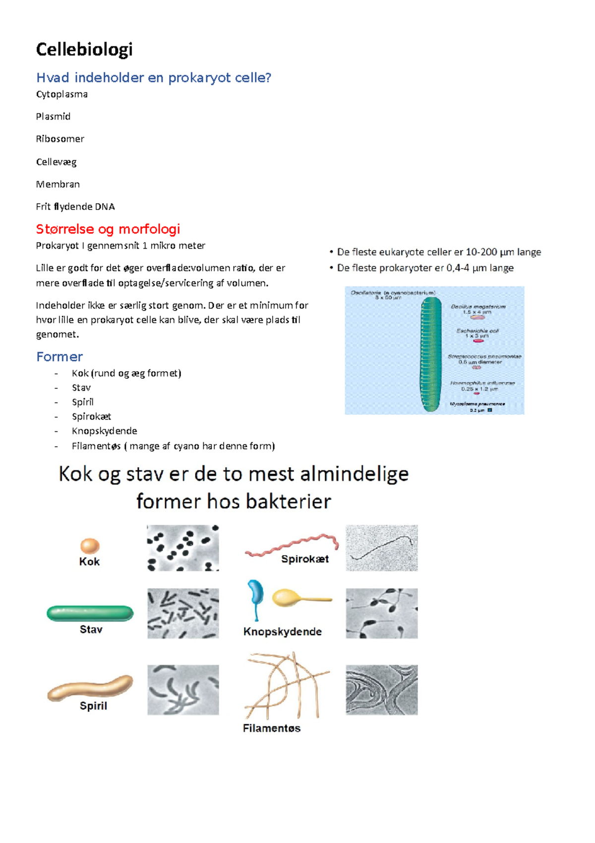 1. Cellebiologi - Noter til den første forelæsning i mikrobiologi - Cellebiologi Hvad indeholder ...