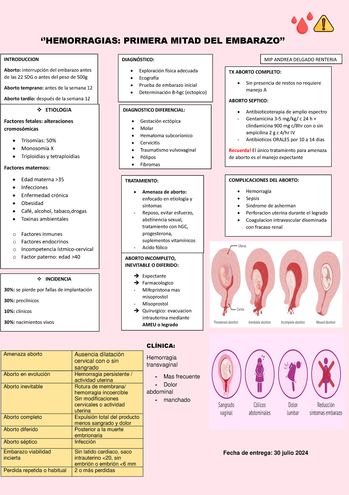 Andrea Delgado renteria resumen tema hemorragia primera mitad embarazo ...