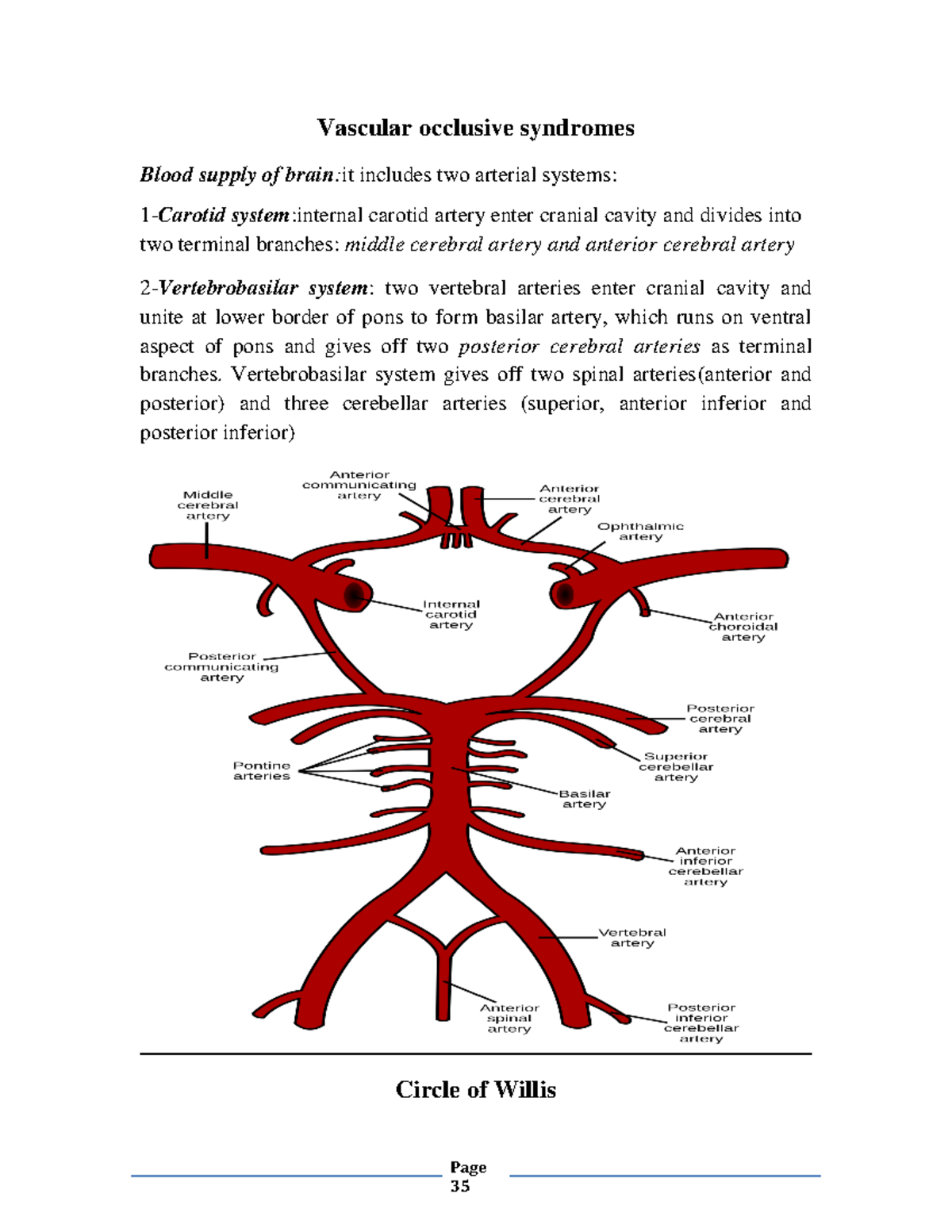 Vascular occlusive syndromes - Page Vascular occlusive syndromes Blood ...