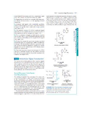 Biochemistry assignment - Punjab University - Studocu
