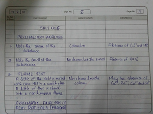 Honey analysis chemistry 12 - CHEMISTRY PROJECT: AN ALY SI S OF H ON EY ...