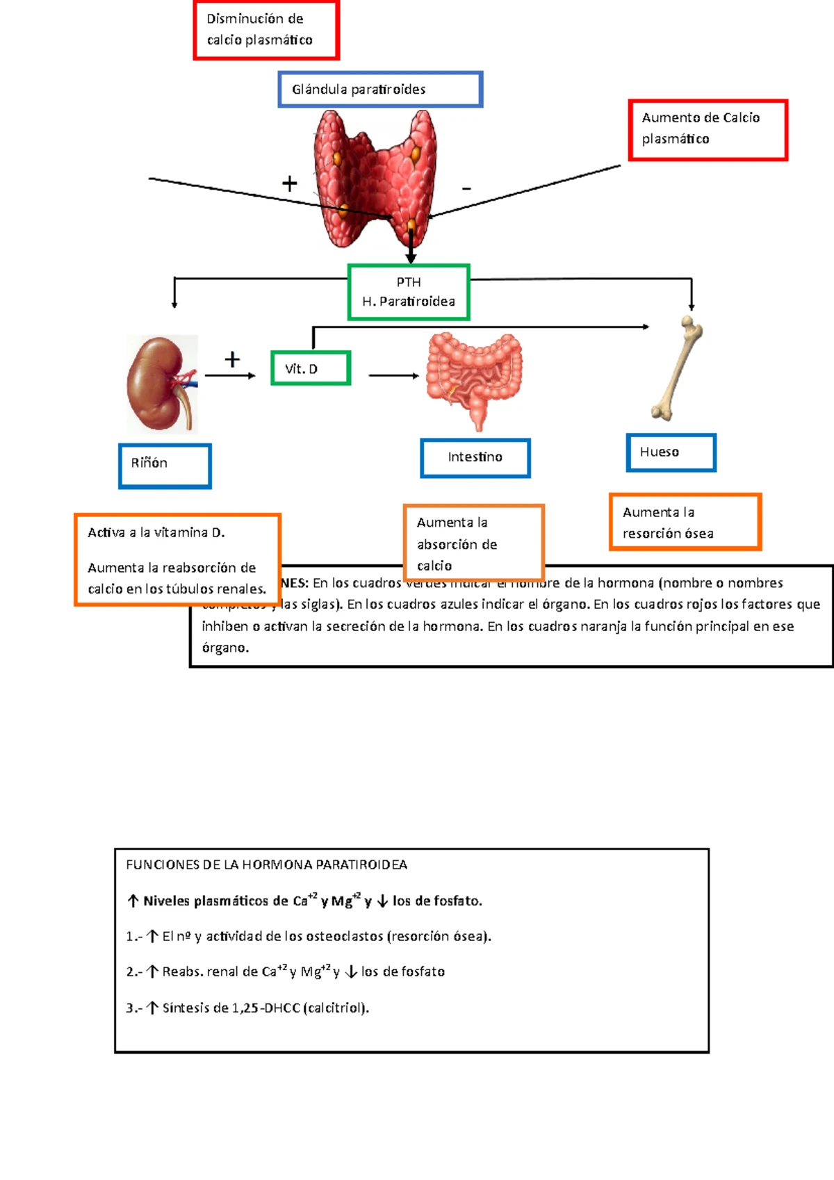 Studocu - Resúmenes, apuntes y preparación de exámenes gratis