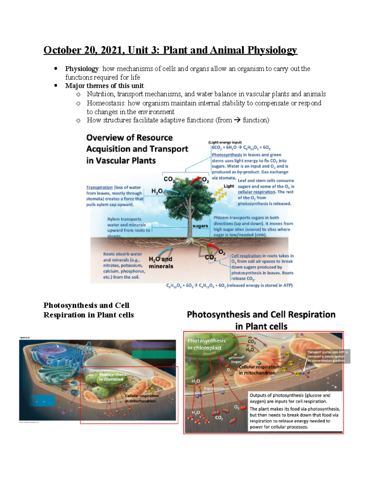 Week 9 Notes (Unit 3) - October 20, 2021, Unit 3: Plant and Animal ...