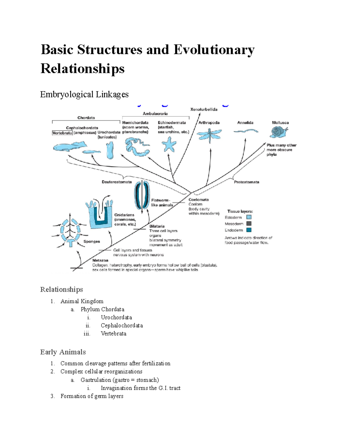 Basic Structures and Evolutionary Relationships - Basic Structures and ...
