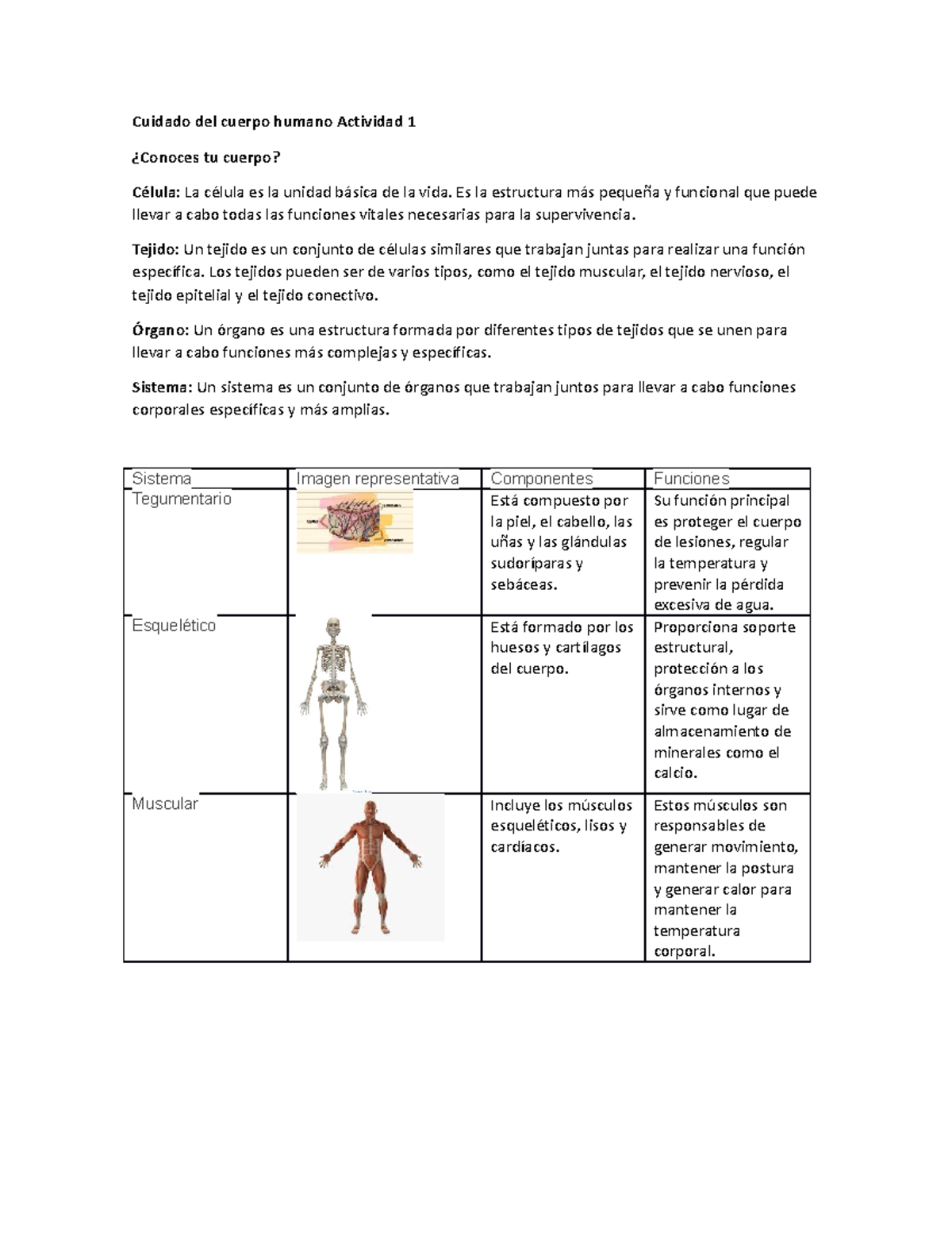 Cuidado del cuerpo humano Actividad 1 - Es la estructura más pequeña y ...