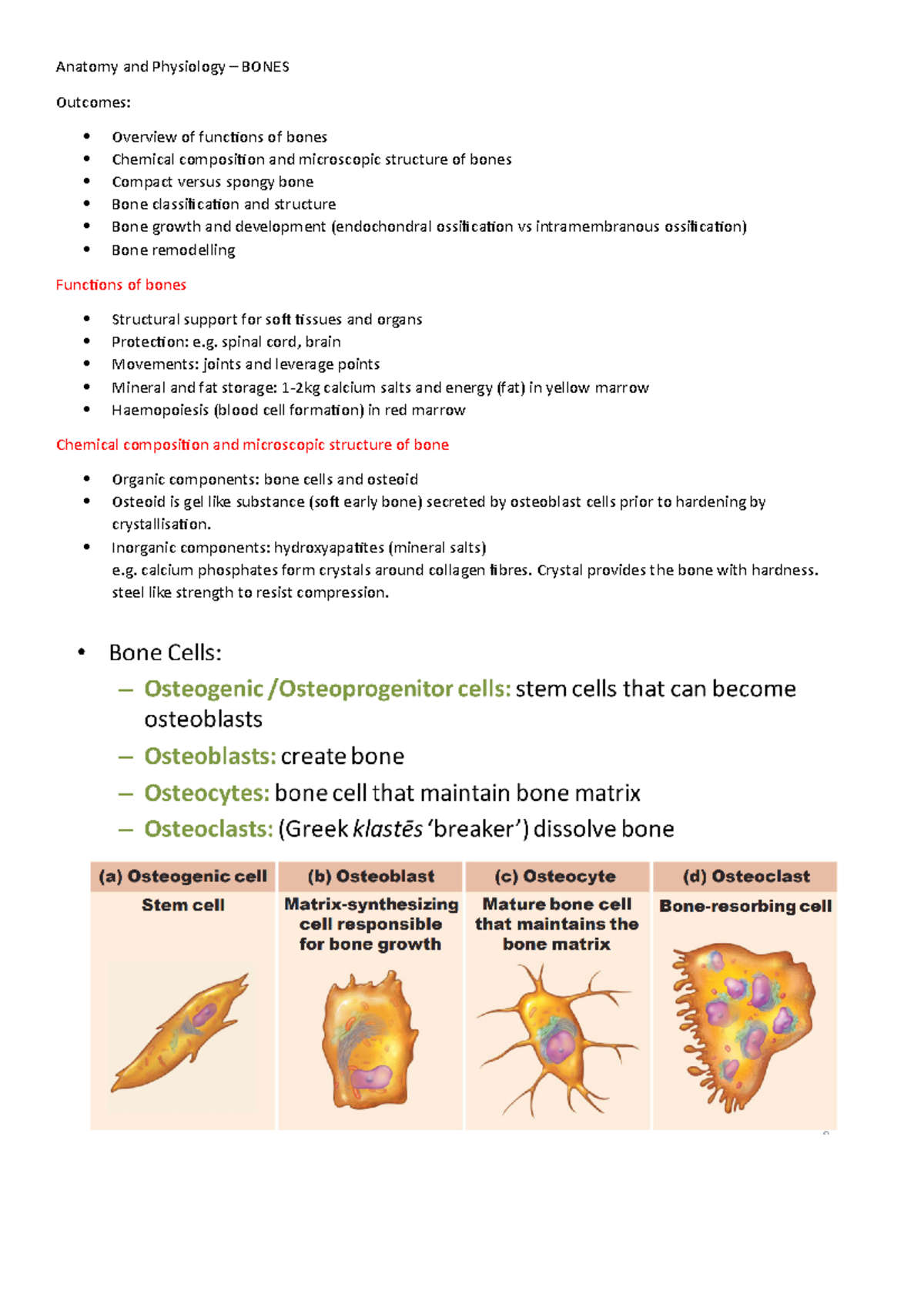 Anatomy and Physiology week 2 bones notes - Anatomy and Physiology ...