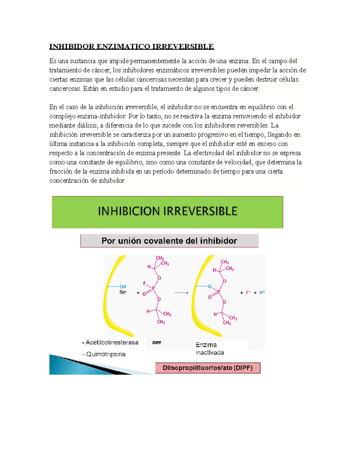 Inhibidor enzimático irreversible y reversiblemente / enzimas ...