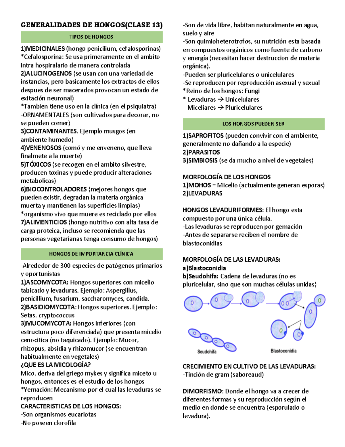 Clase 13 Generalidades DE Hongos - GENERALIDADES DE HONGOS(CLASE 13) 1 ...