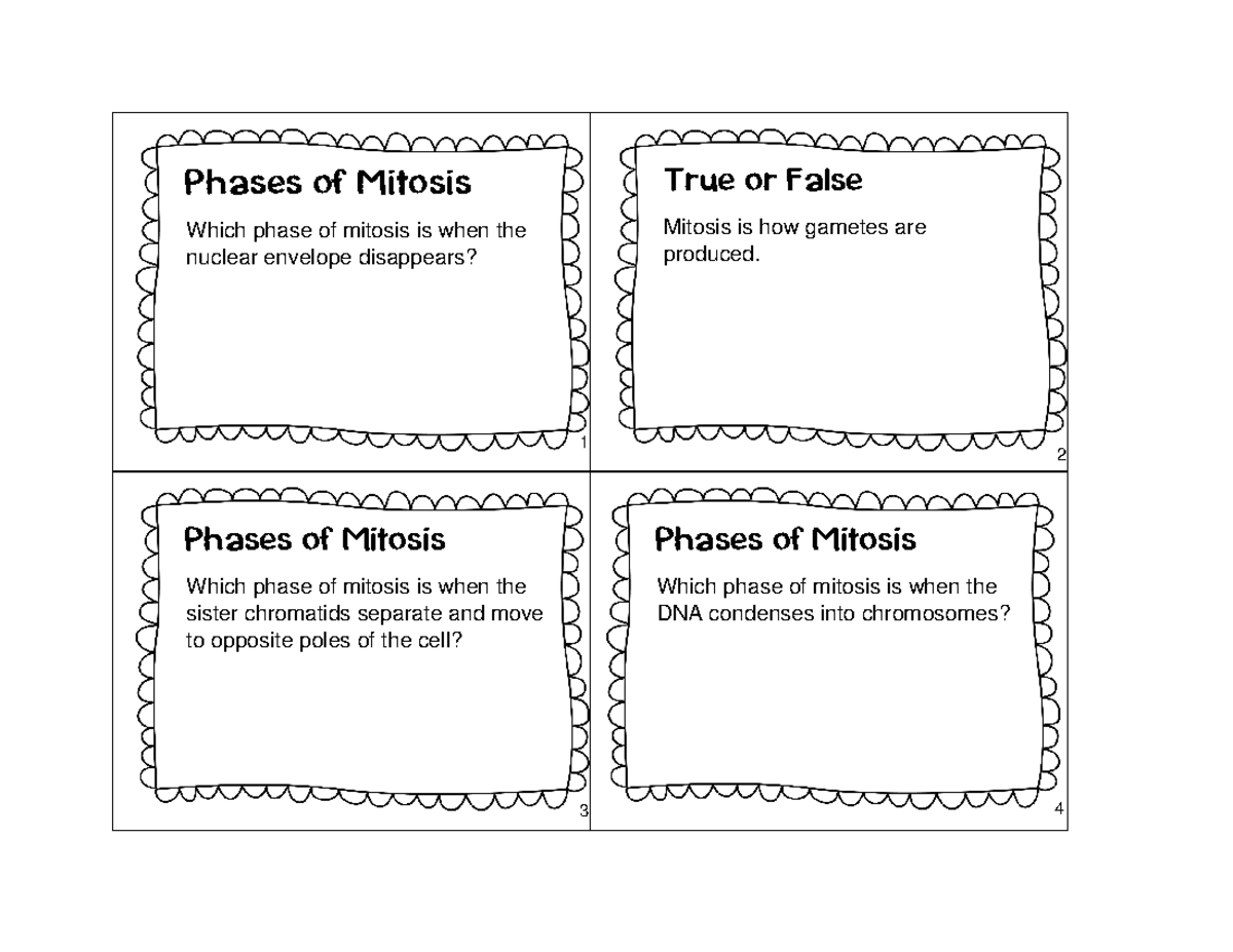 5 - Mitosis Task Cards - Phases of Mitosis Which phase of mitosis is ...