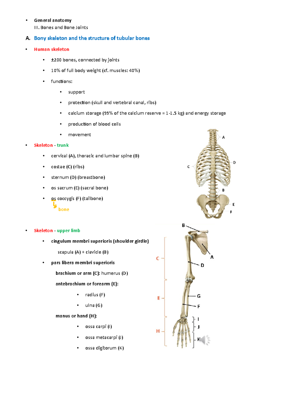 General anatomy - Lesson 2 - General anatomy III. Bones and Bone Joints ...