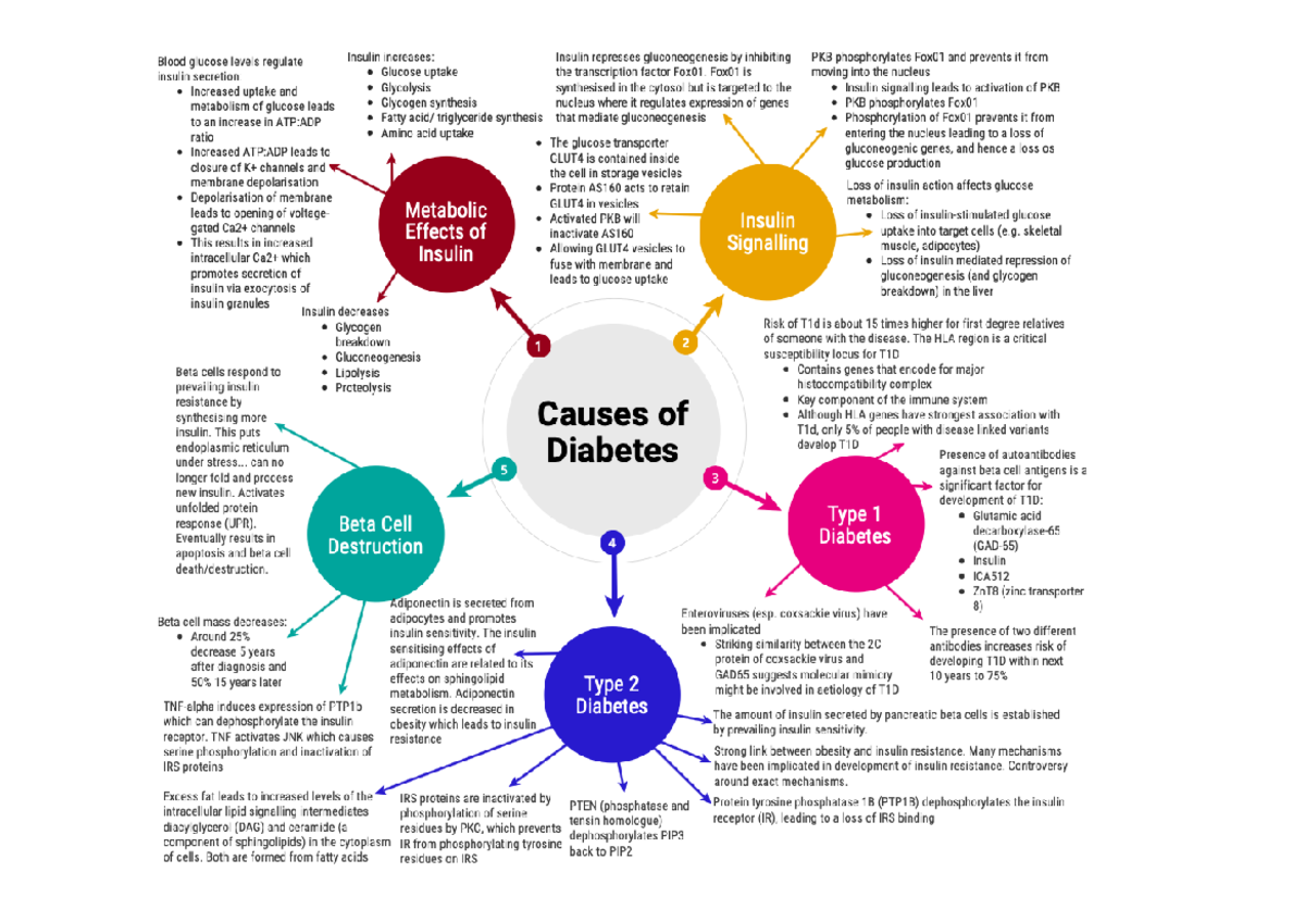 Causes of diabetes mindmap - MP322 - Studocu