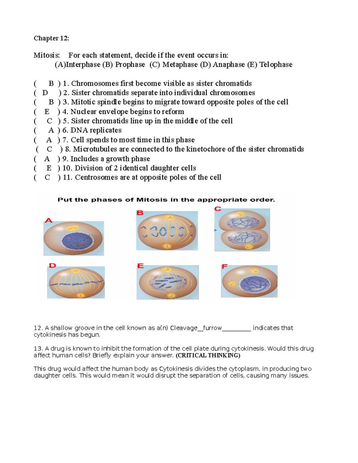 Bio hw ch12 - bio ch 12 hw - Chapter 12: Mitosis: For each statement ...