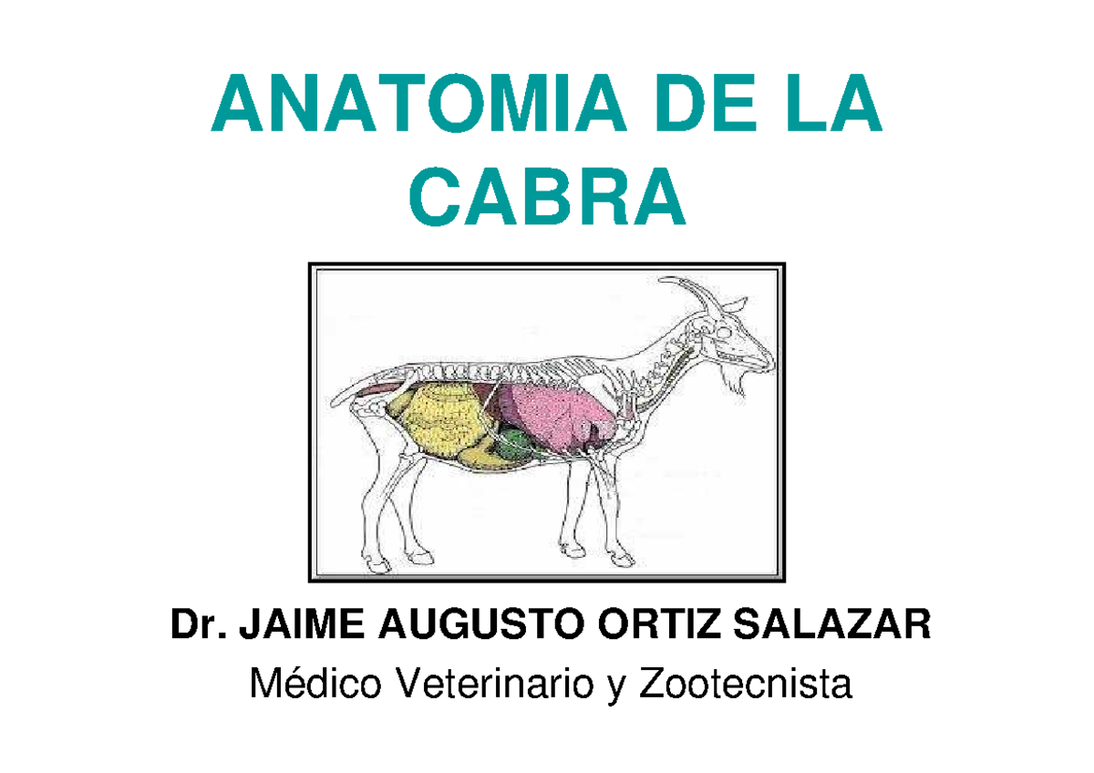 2 - ANATOMIA - ANATOMIA DE LA CABRA Dr. JAIME AUGUSTO ORTIZ SALAZAR ...