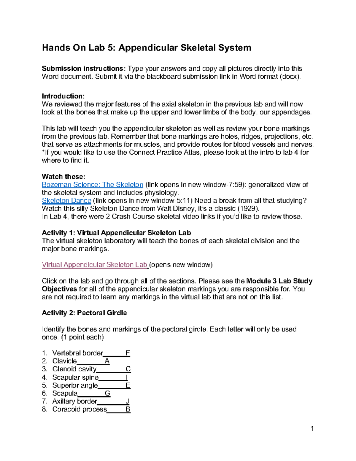 Lab5 - labs - Hands On Lab 5: Appendicular Skeletal System Submission instructions: Type your ...