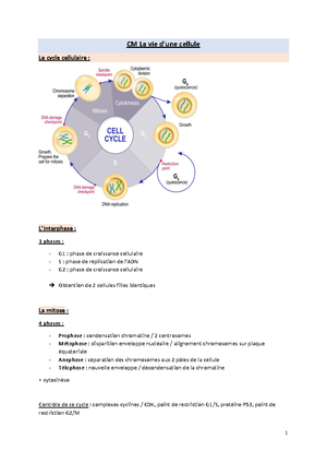 CM La cellule le centre du vivant - CM La cellule le centre du vivant ...