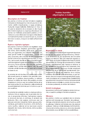 3270 vegetation-pionniere-nitrophile-des-berges-des-cours-d-eau - 1/ C ...