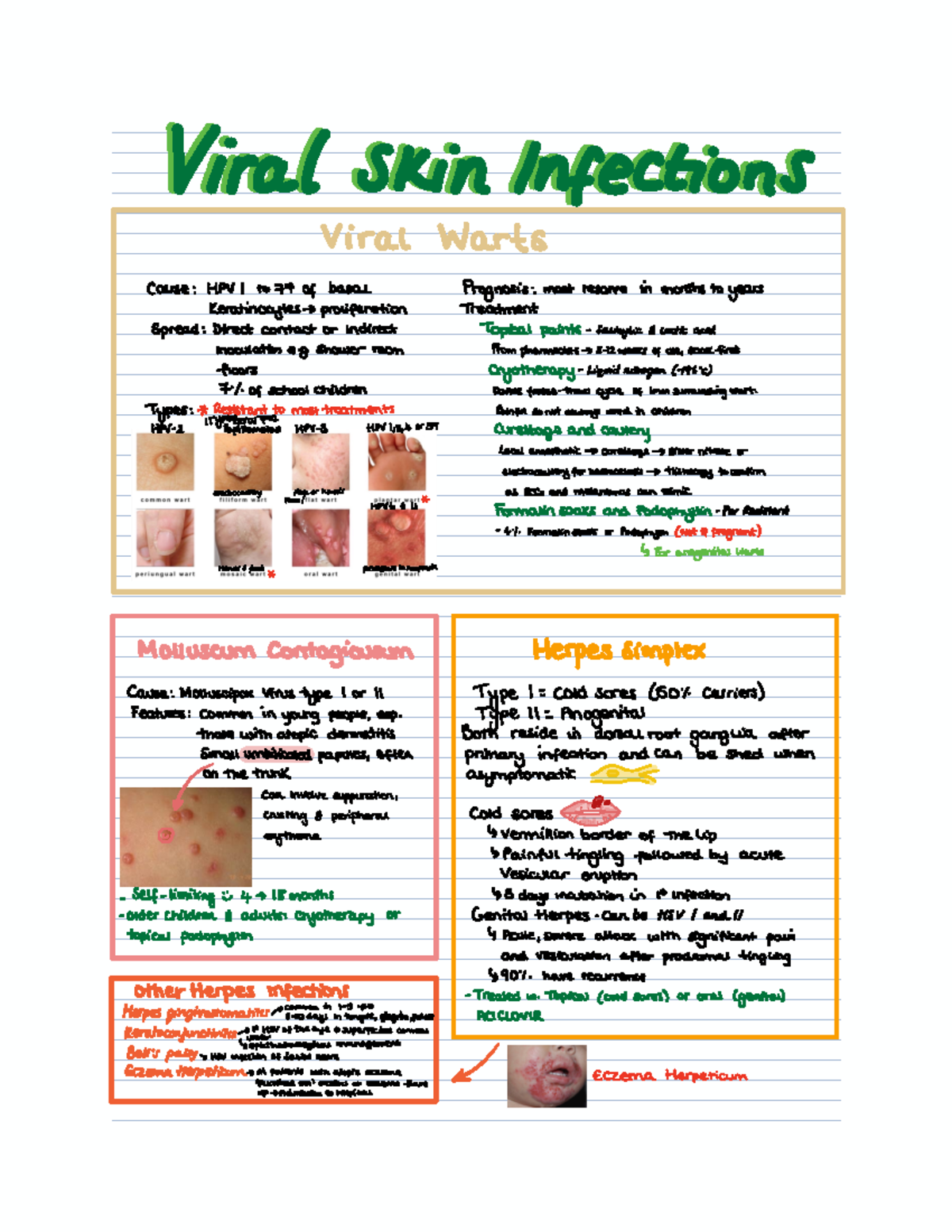 Viral skin infections - Studocu