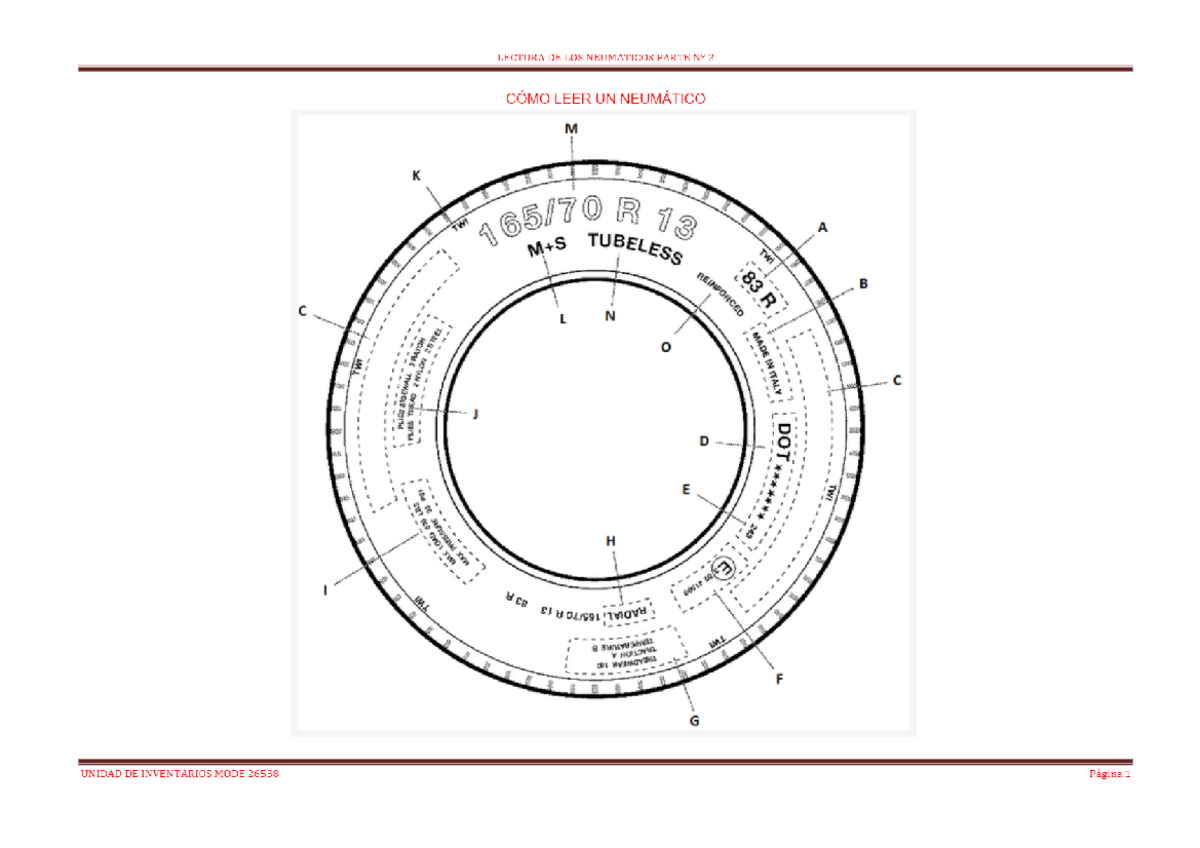 Neumaticos Codificacion - Taller de programación - Studocu