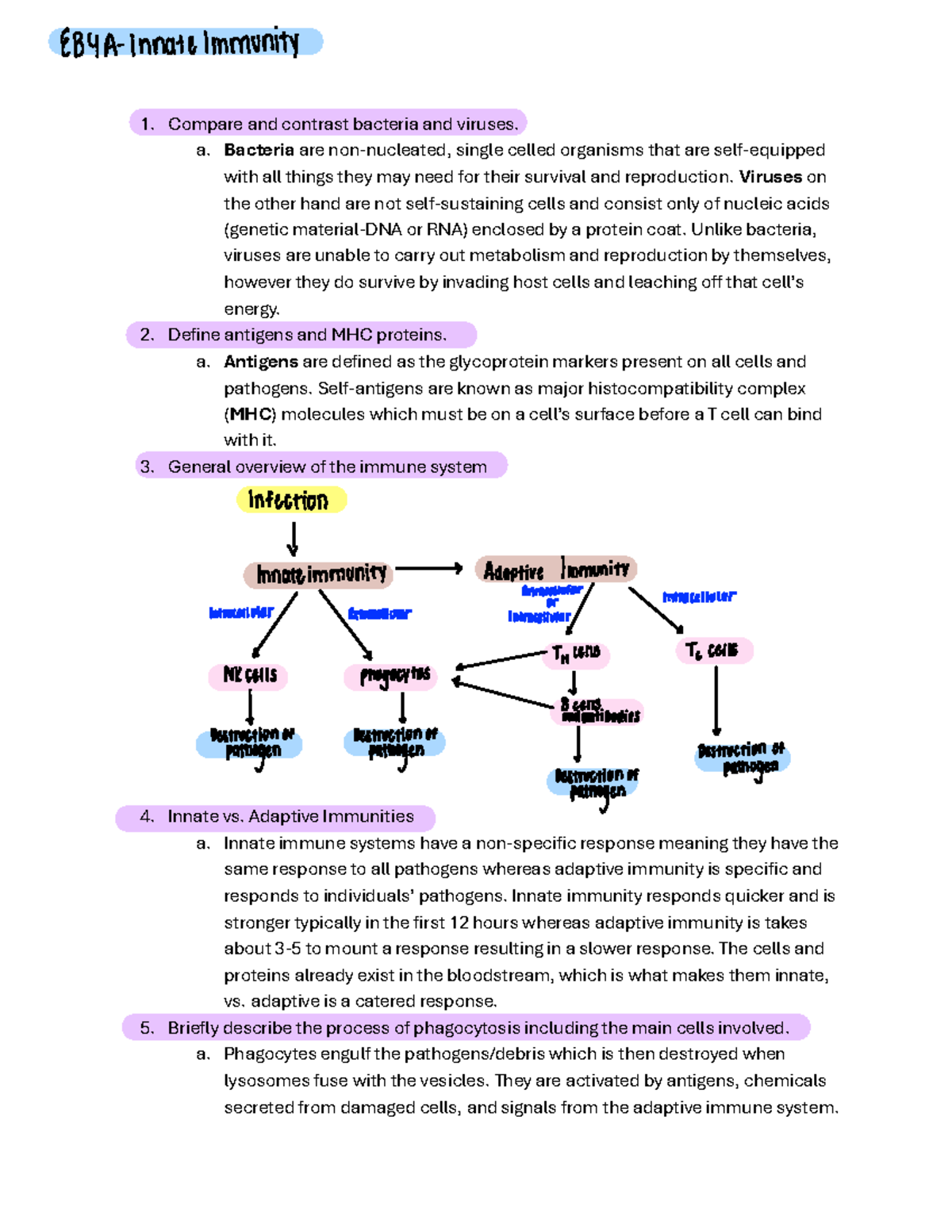 EB 4A HPHY 324 - EB week 7 - Compare and contrast bacteria and viruses ...