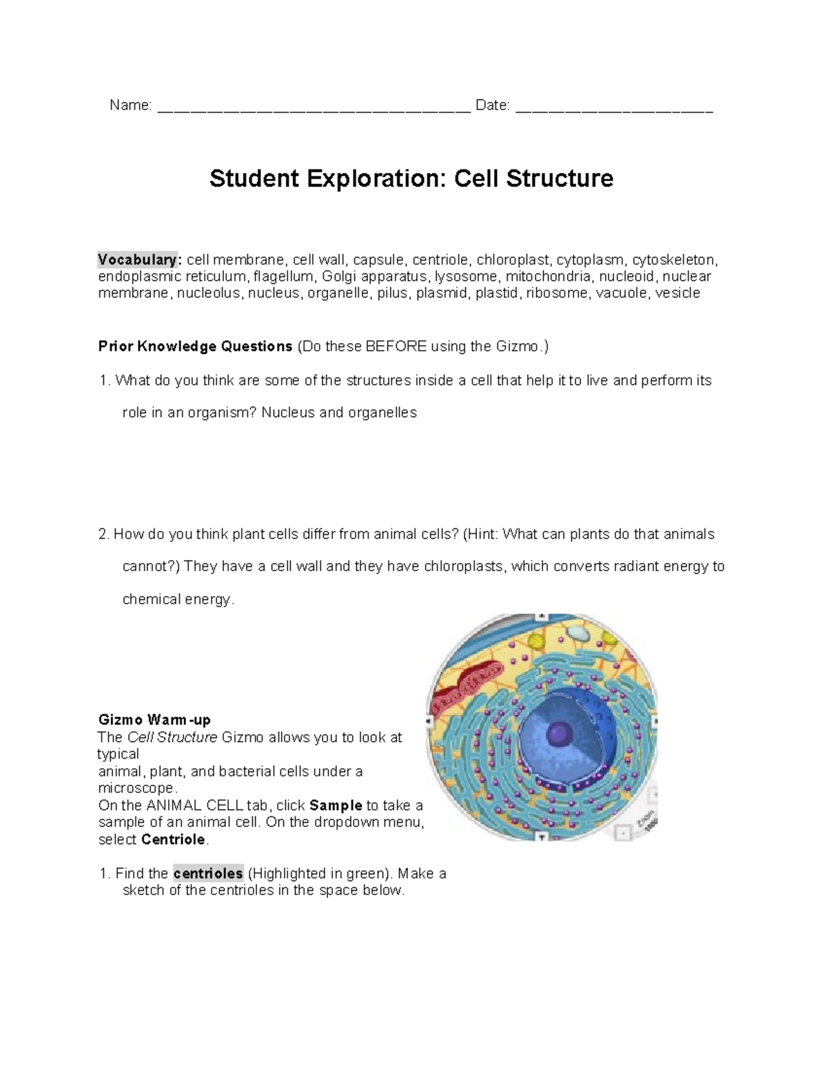 CSLab 4.3 Cell Structure and function - Name ...