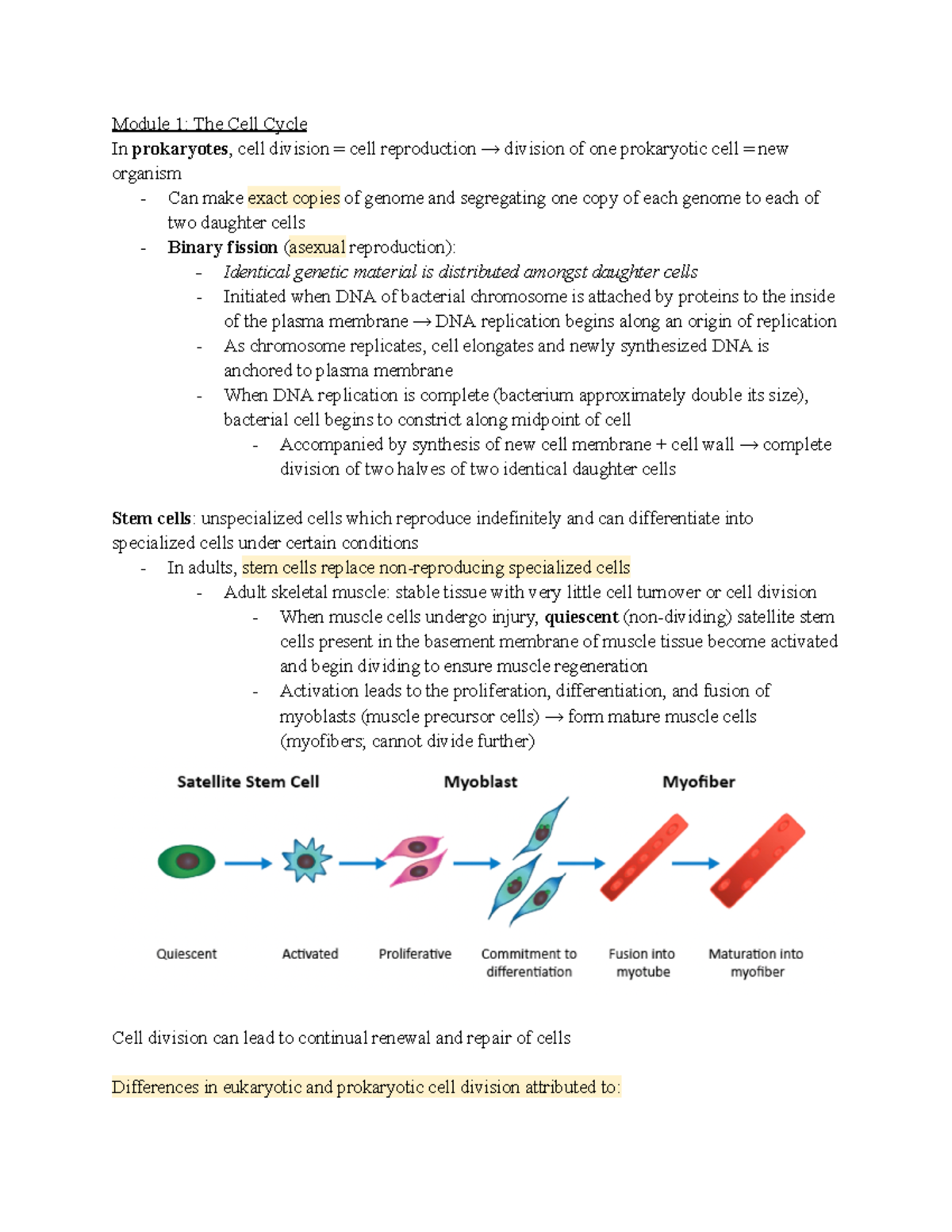 Theme 4 - notes - Module 1: The Cell Cycle In prokaryotes, cell ...