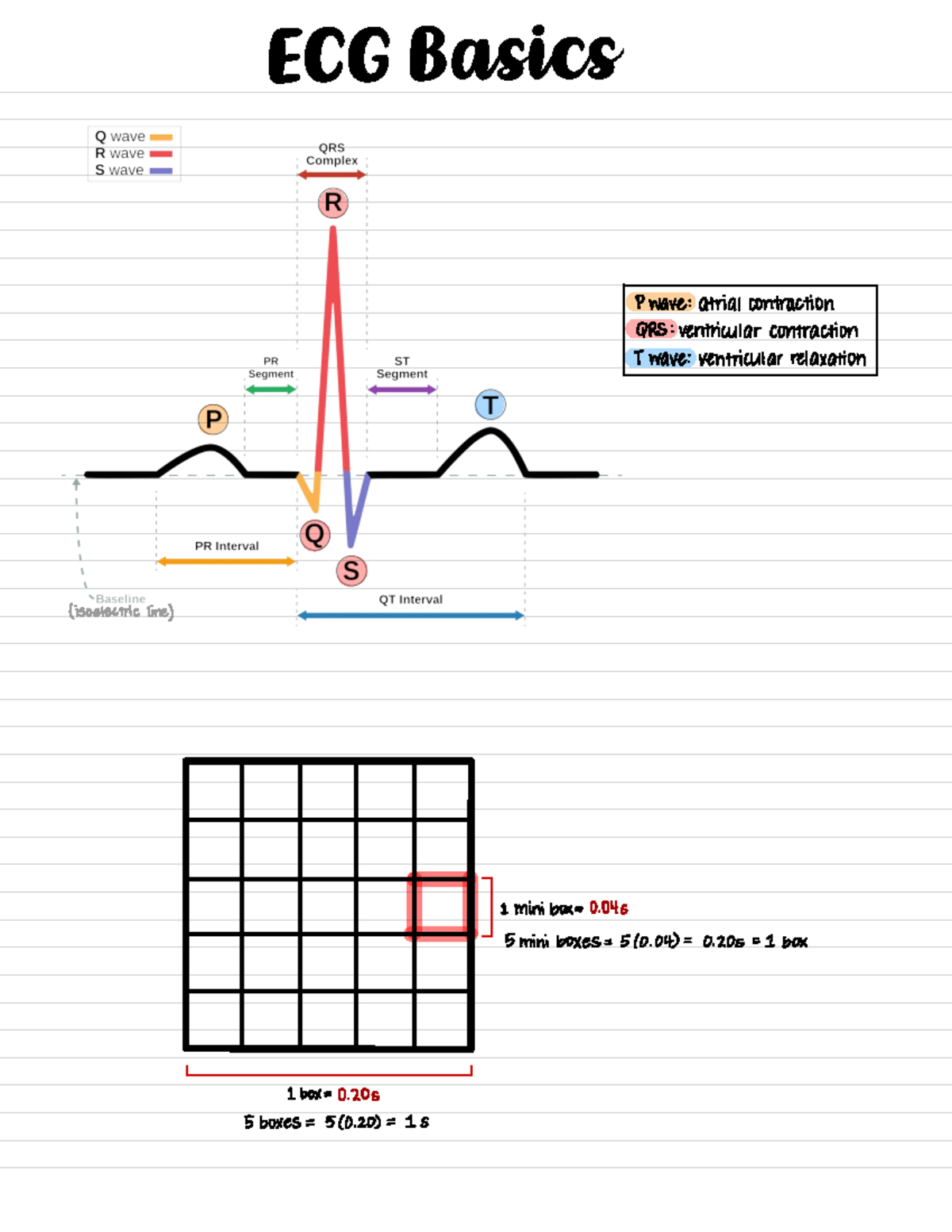 ECG Basics & Interpretation - NUR 1930 - Studocu