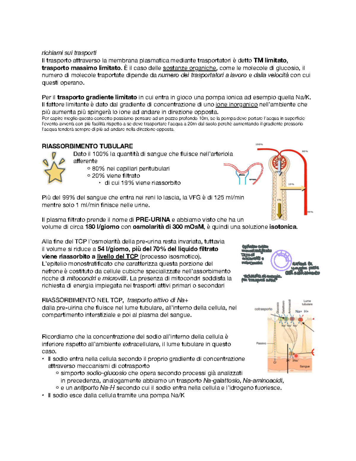 TCP, ANSA DI HENLE, inizio TCD - richiami sui trasporti Il trasporto ...