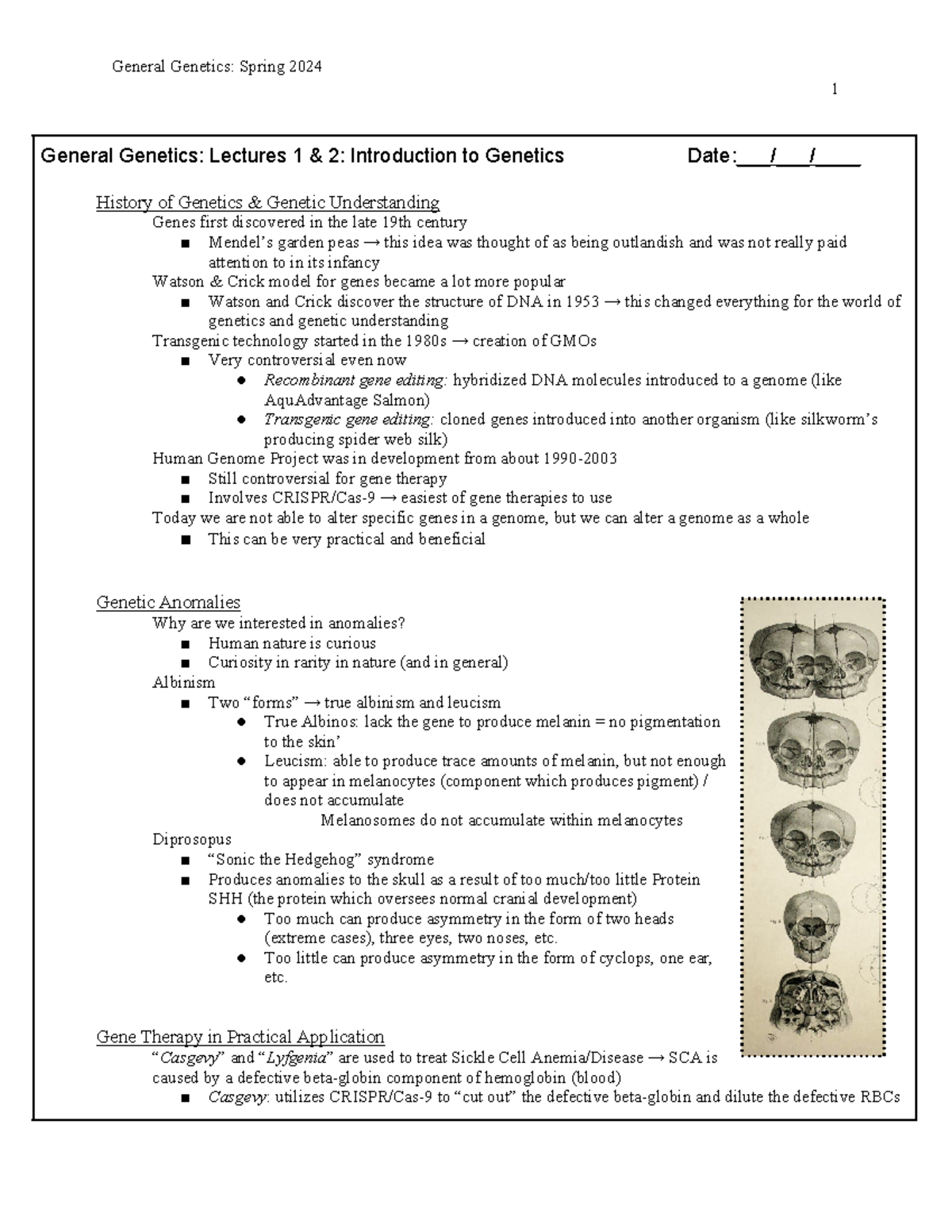 General Genetics Lectures 1-6 - Too little can produce asymmetry in the ...