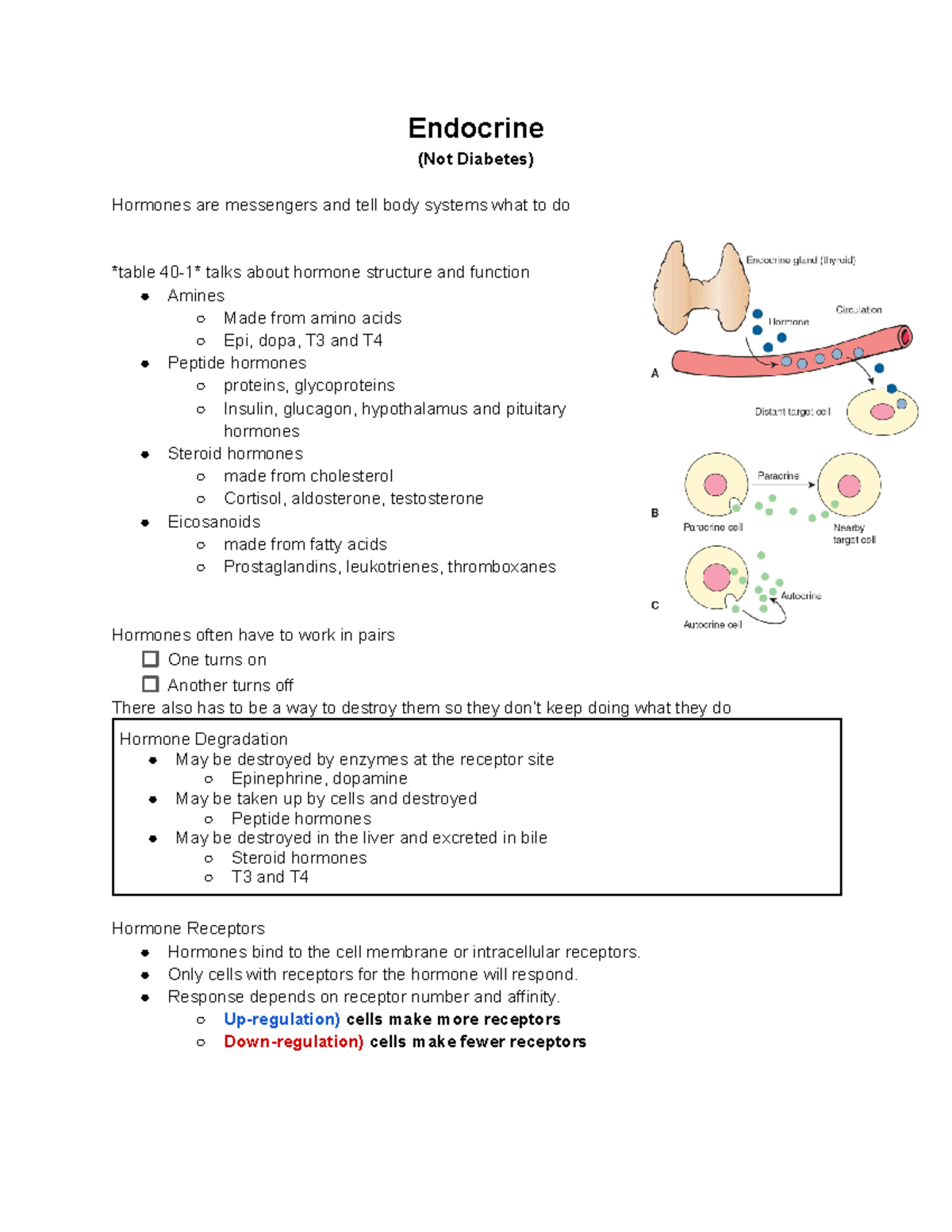 N319 - Exam 6 Endocrine - These are lecture notes from my time in N319 ...