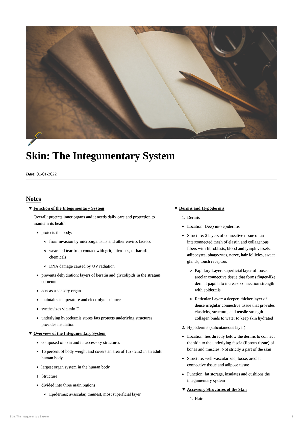 Skin The Integumentary System - 🖋 Skin: The Integumentary System Date ...