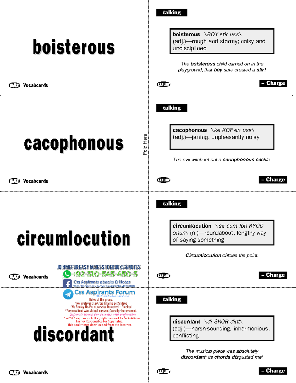 Vocabulary - Fold Here The boisterous child carried on in the ...
